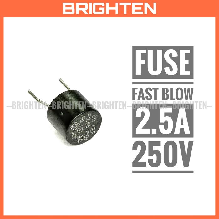 Jual Fuse radial Fast Acting F2.5A 2.5A 250V - Kota Bandung - BRIGHTEN ...