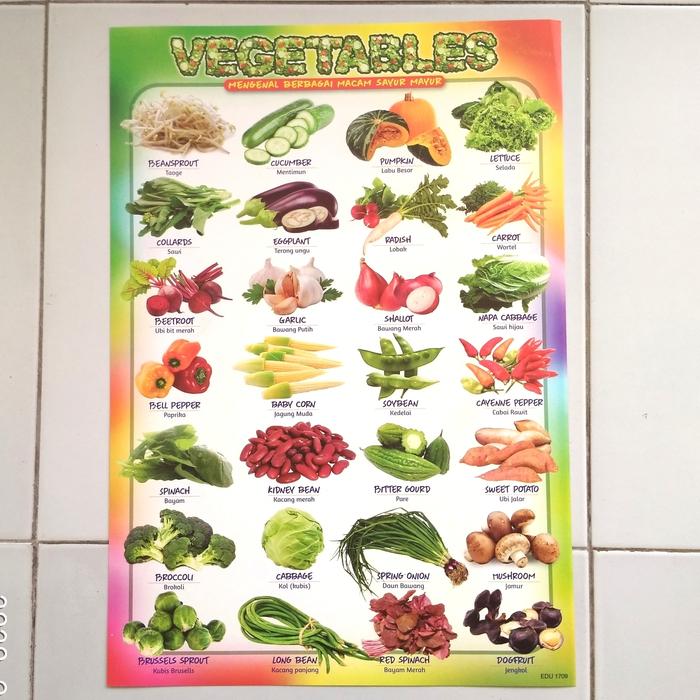 Jual poster vegetables poster sayuran - Kab. Bekasi - Toko Mainan Serba ...