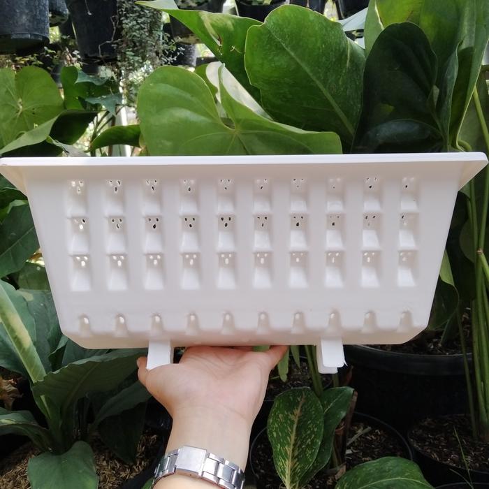 Jual Pot Bunga Tempel Argo 04 Putih Budi Jaya / Pot Tanaman - Kota ...