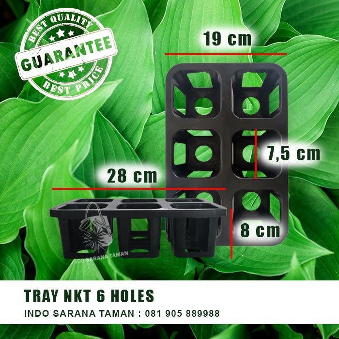Jual TRAY NKT 6 HOLES Tray Anggrek Tray Kaktus Tray Tanaman Tray Benih ...