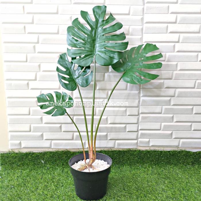 Jual Pohon Daun Monstera Latex Akar Artificial Pot Dasar Tanaman Hias ...