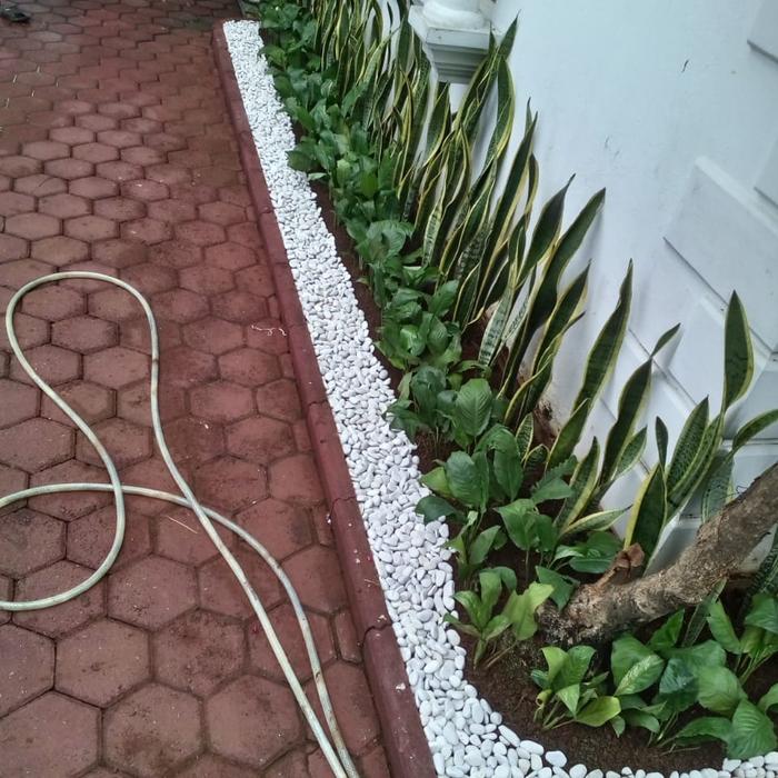 Jual batu koral putih - jual kemasan 1kg - batu kerikil putih untuk ...