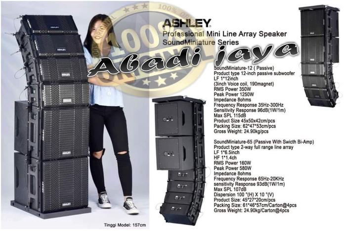 Jual PAKET PROFESIONAL MINI LINE ARRAY ASHLEY SPEAKER SOUNDMINIATURE ...