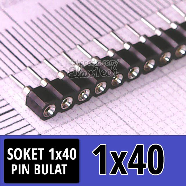 Jual Soket Bulat 40 pin Socket 40p SIL 40 kaki 1x40 Header Female ...