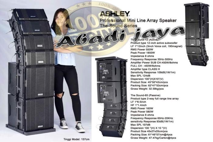 Jual PROFESIONAL MINI LINE ARRAY ASHLEY SPEAKER THE SOUND SERIES ...