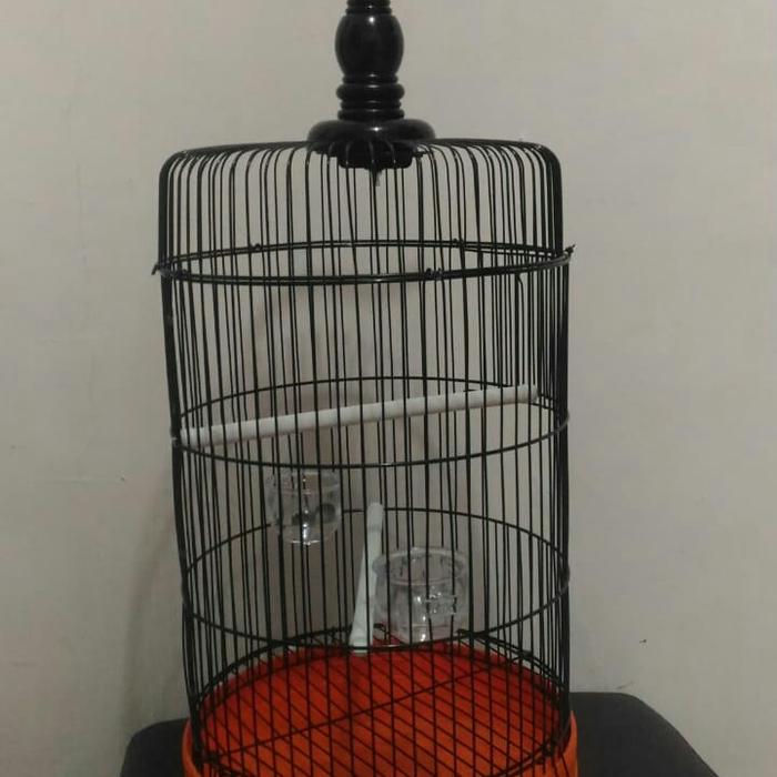 Jual Sangkar pleci sangkar burung kecil sangkar bulat sangkar besi ...