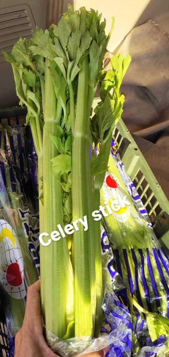 Jual Celery Stick Import Seledri Import 1 kg - Kota Semarang - Premium ...