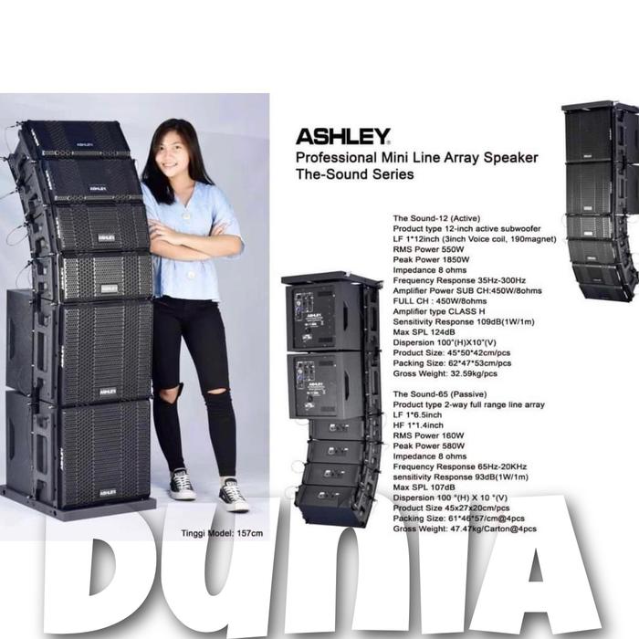 Jual Speaker Line Array Ashley The Sound Series 6.5 inch Sub 12 inch ...