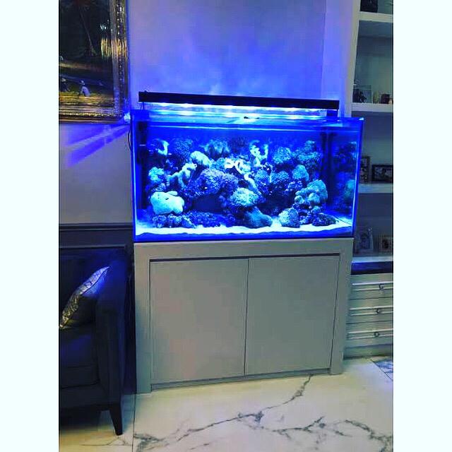 Jual Satu set aquarium plus kabinet - Jakarta Barat - fandy furniture ...