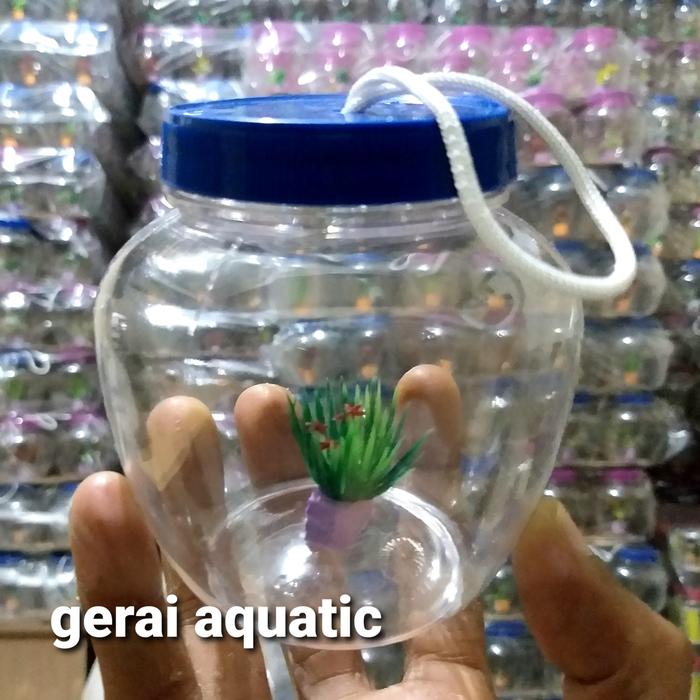 Jual aquarium mini bulat bahan plastik aquarium - Kota Tangerang ...