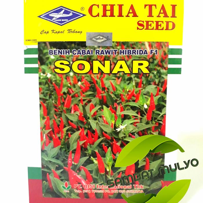 Jual Benih cabe rawit sonar hibrida F1 10 gram - Kab. Kediri - sambat ...