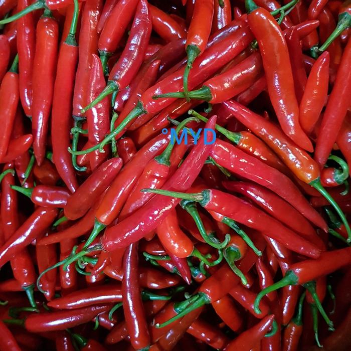 Jual cabe merah besar 1 kg fresh | Hot chili | Tw merah | Cabe merah ...