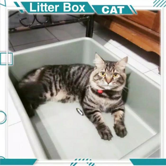 Jual Litter Box Cat XL / Bak Pasir Kucing / Baskom Kucing / Baskom ...