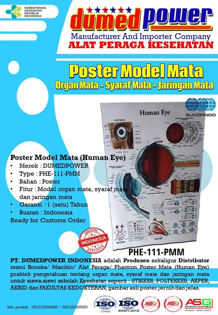 Jual Poster Model Mata (Human Eye) Merek : DUMEDPOWER Type : PHE-111 ...