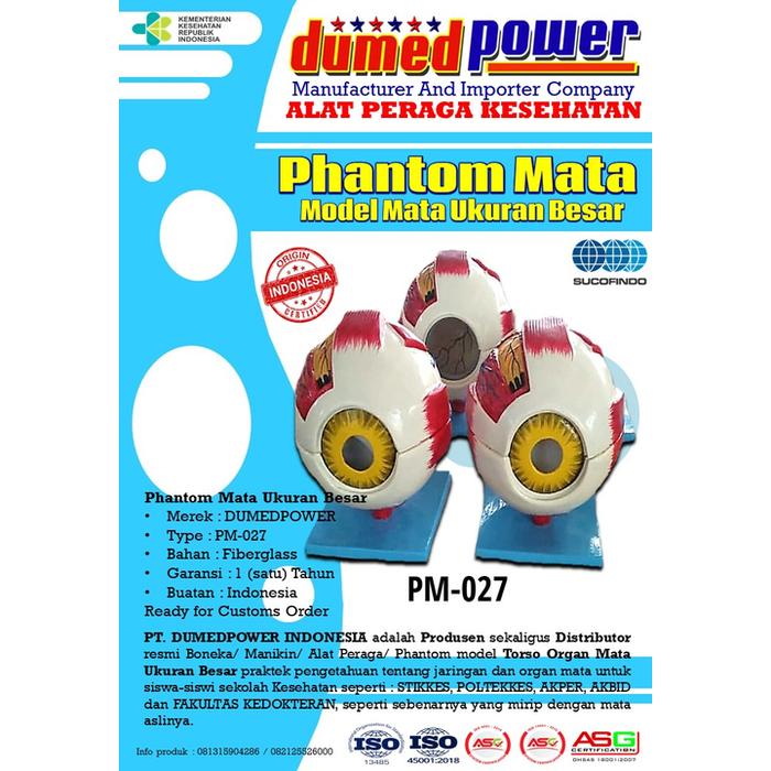 Jual Phantom Mata Ukuran Besar Merek : DUMEDPOWER Type : PM-027 ALKES ...
