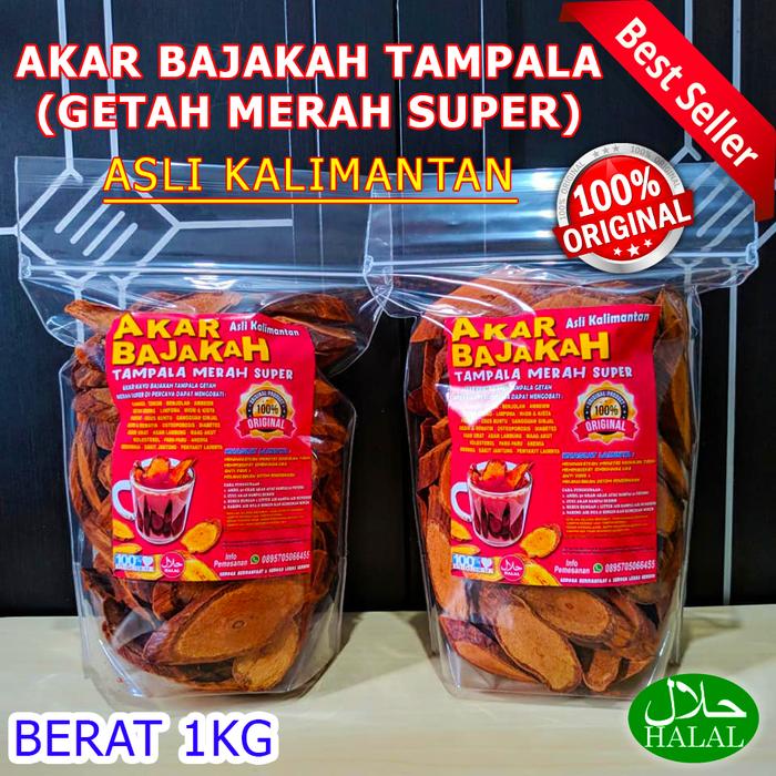 Jual AKAR BAJAKAH TAMPALA GETAH MERAH SUPER - HERBAL SUKU DAYAK ...