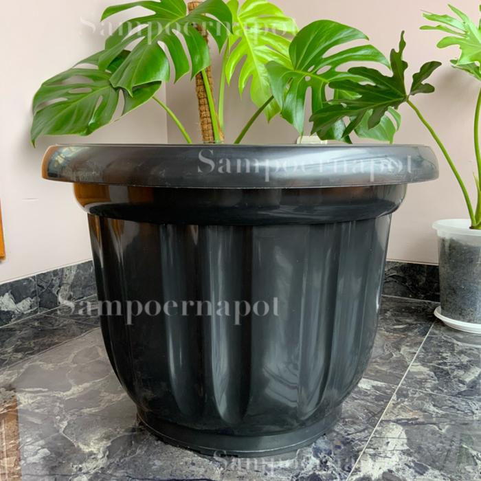Jual pot bunga tanaman plastik hitam 50cm - jumbo - Kota Tangerang ...