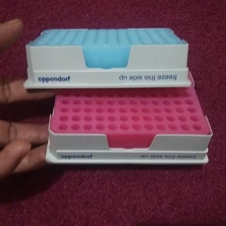 Jual Eppendorf® PCR Cooler 96 well plates and PCR tubes Isi 2 pcs ...