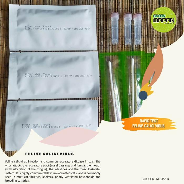 Jual Feline Calici Virus (FCV) Test Kit Kucing - Kota Surabaya - Green ...