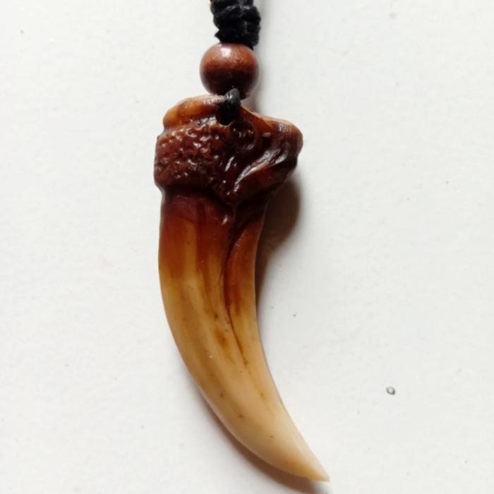 Jual kalung liontin taring macan harimau / kalung etnik taring babi ...