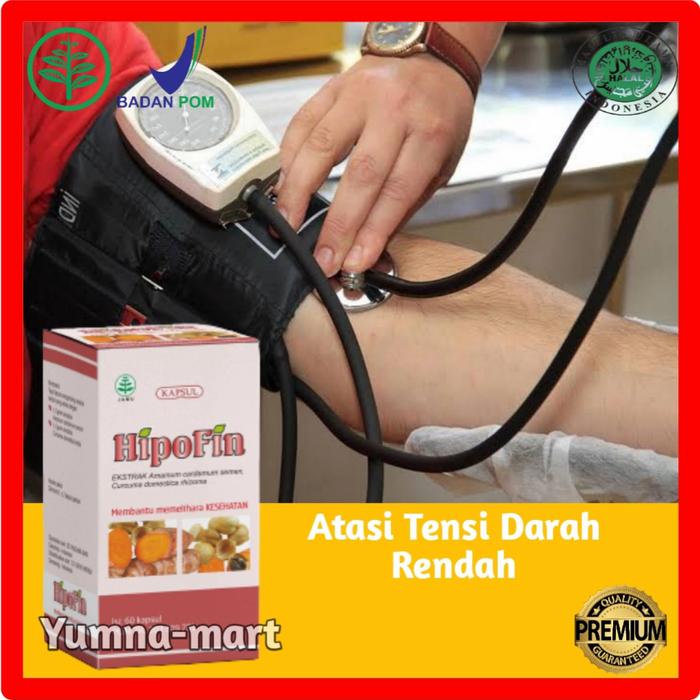 Jual Kapsul Herbal Menaikkan Tensi Darah Rendah Obat Hipotensi Hipofin ...
