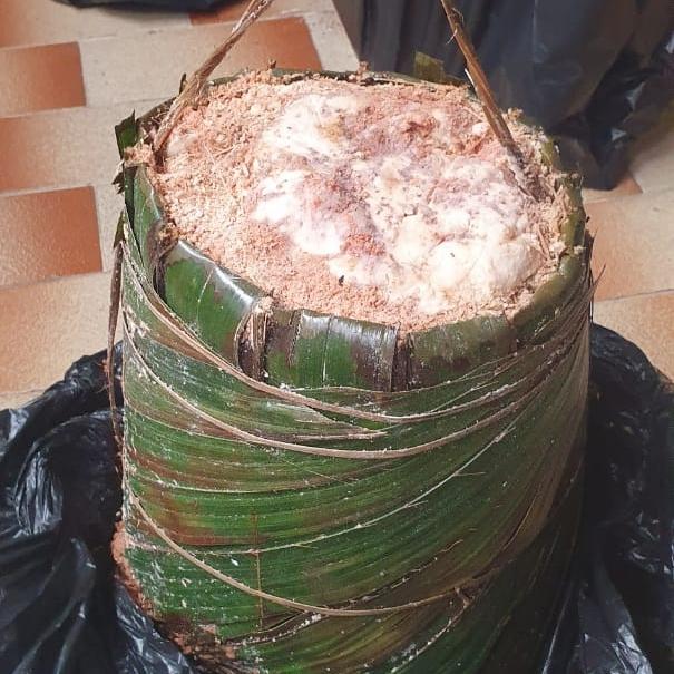 Jual Sagu mentah/Sagu Papeda/Sagu Ambon (Harga Per Kg) - Jakarta ...