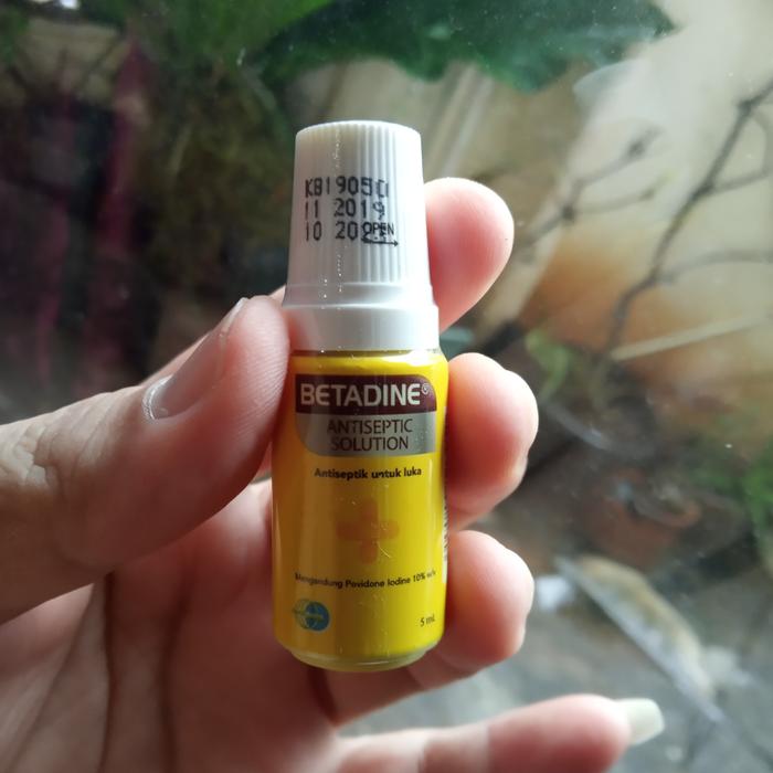 Jual Obat Luka Betadine Antiseptik 5 ml Antiseptic Solution Betadin ...
