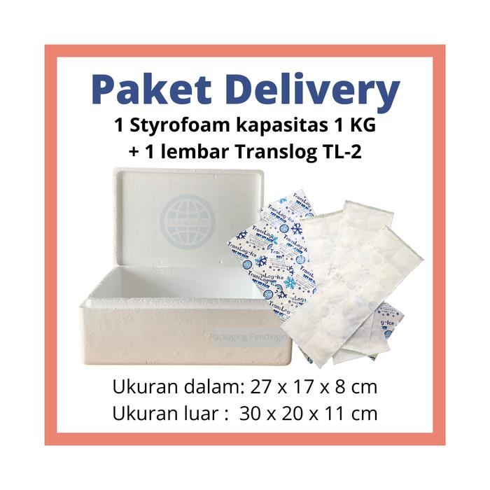 Jual Paket Delivery Box Kapasitas 1 KG / Paket Packing Frozen Food ...