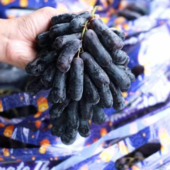 Jual Anggur jari black sapphire/anggur autumn fresh manis 500 gram ...
