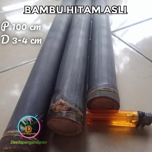 Jual bambu hitam asli ukuran kecil P 150 cm D 3-4 cm - bambu wulung ...