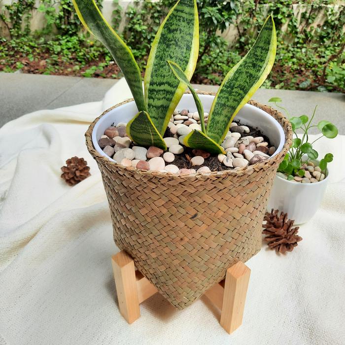 Jual Standing Pot Kayu / Tatakan Pot Kayu / Standing Pot Tanaman Bunga ...