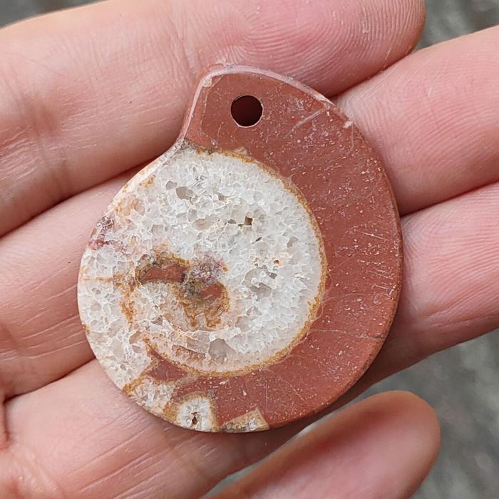 Jual Batu Ammonite Fossil Slab - Kab. Badung - BaliGemstones | Tokopedia