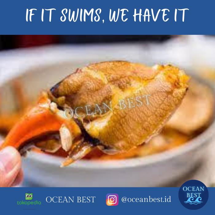 Jual Daging Capit Kepiting Frozen - Kota Tangerang - Ocean Best | Tokopedia