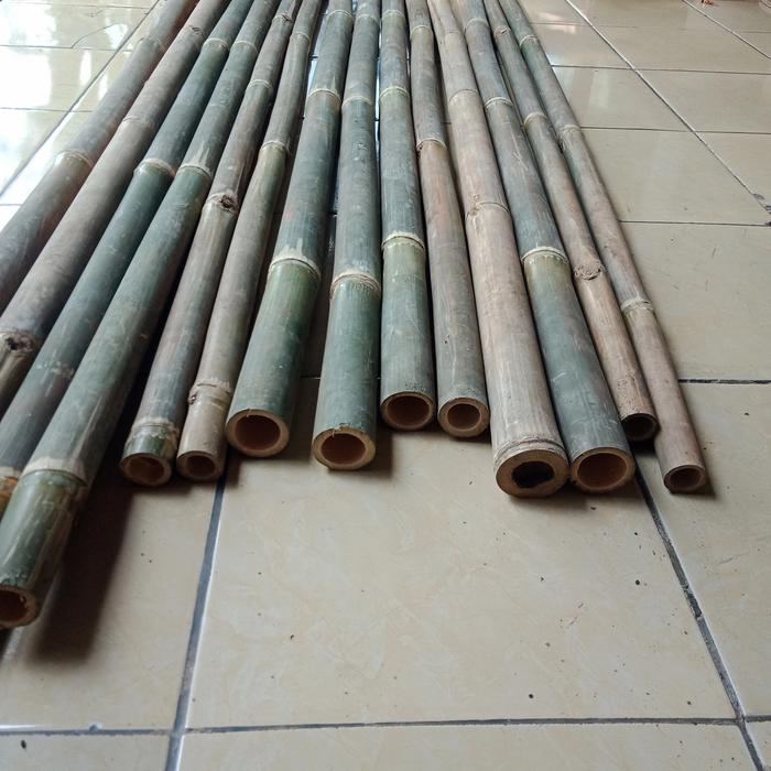 Jual jual batang bambu potong panjang 150 cm diameter 6 cm - Kab ...