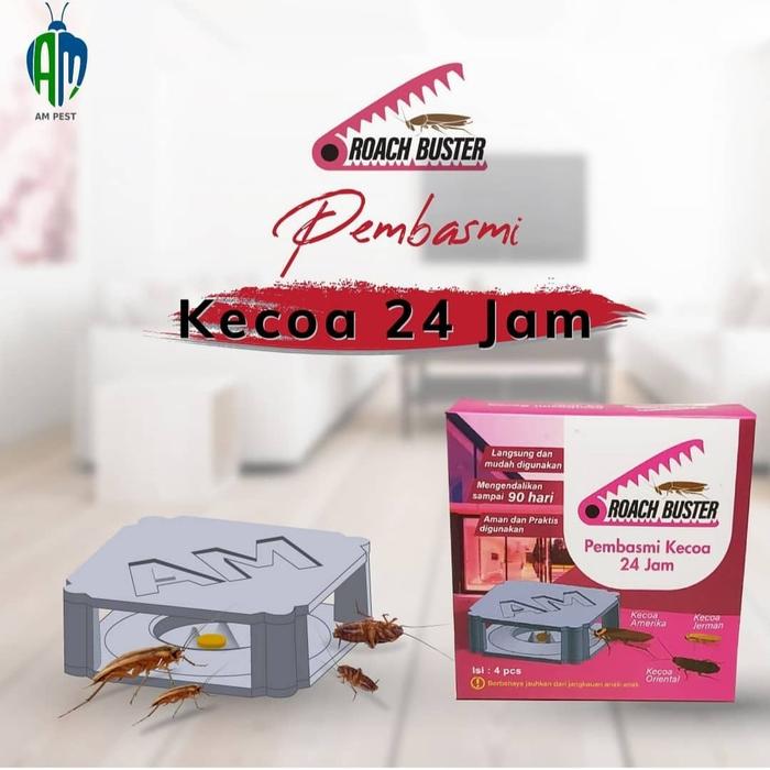 Jual Pembasmi kecoa / pembunuh kecoa / roach buster / umpan kecoa isi 4 ...