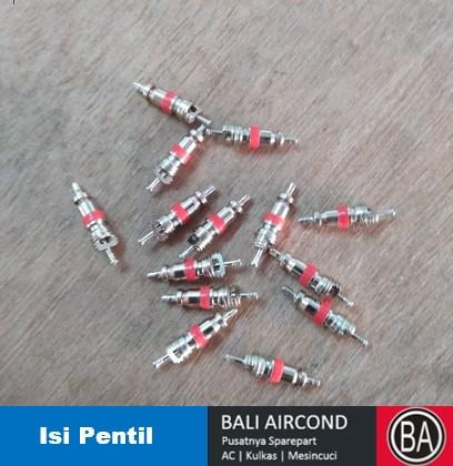 Jual Isi pentil kran naple ac kulkas showcase pintil spuyer pengisian ...