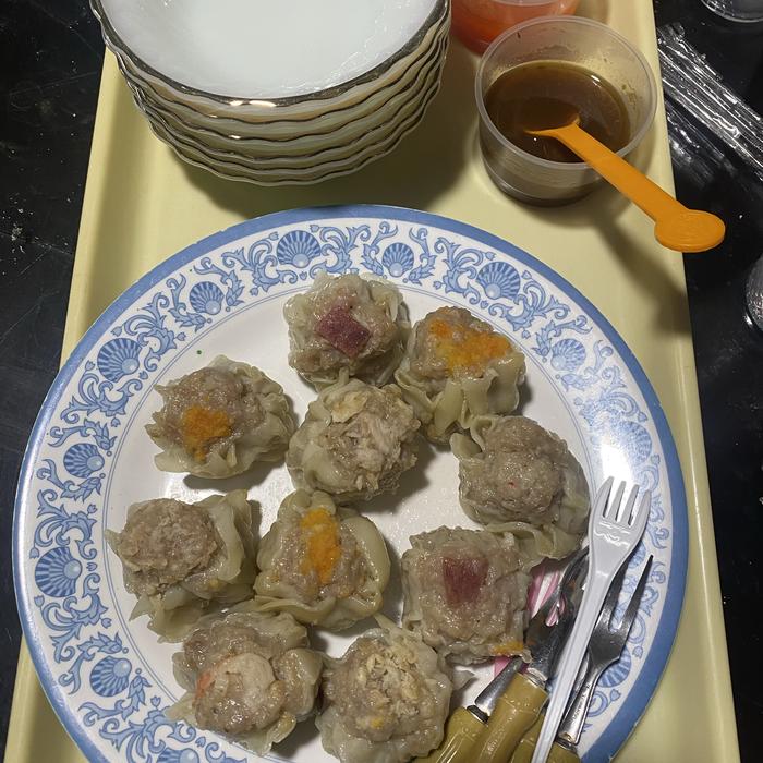 Jual Dim Sum Ayam Halal Home Made isi 10 Pcs - Jakarta Barat - Queen ...