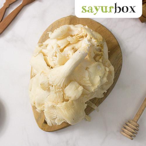 Jual Jamur Tiram Bulk 1kg 1 kg Sayurbox - Jakarta Selatan - Sayurbox ...