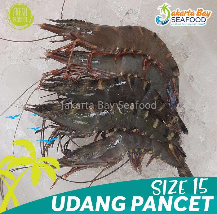 Jual Udang Pancet (Sz 15) 1Kg/Udang Tiger/Udang Windu/Udang Murah ...