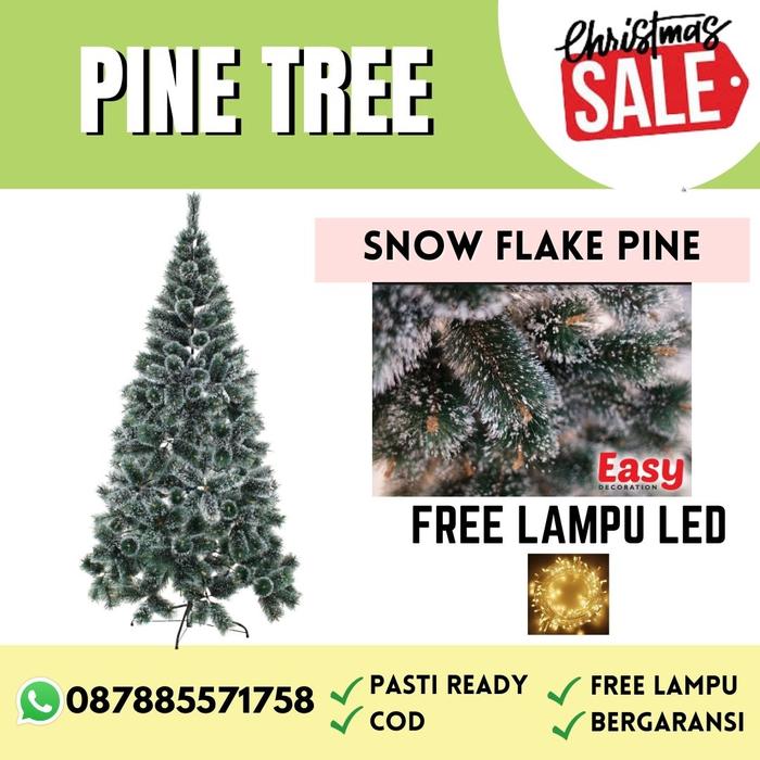 Jual Pohon Natal Murah 150 CM 1.5 METER 5Ft Pine Tree / Pohon Pinus ...