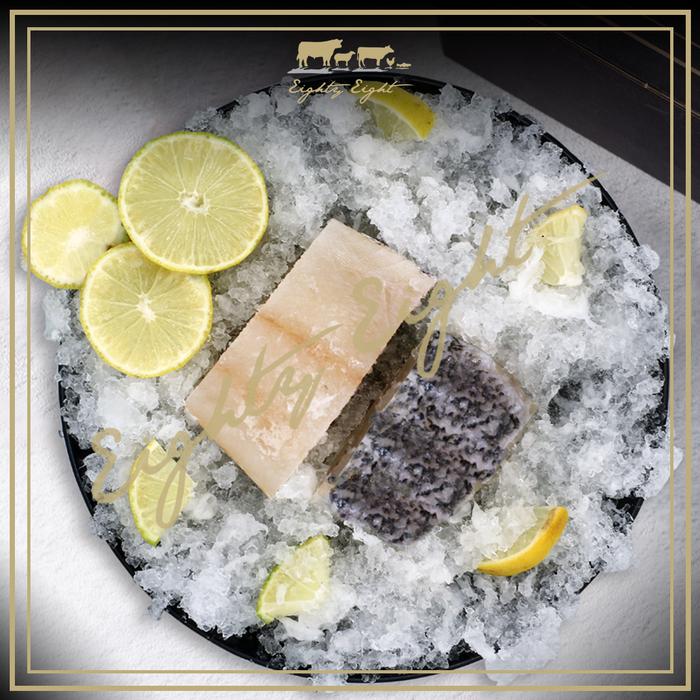 Jual IKAN / IKAN KAKAP HITAM FILLET / BLACK SNAPPER FISH FILLET ...