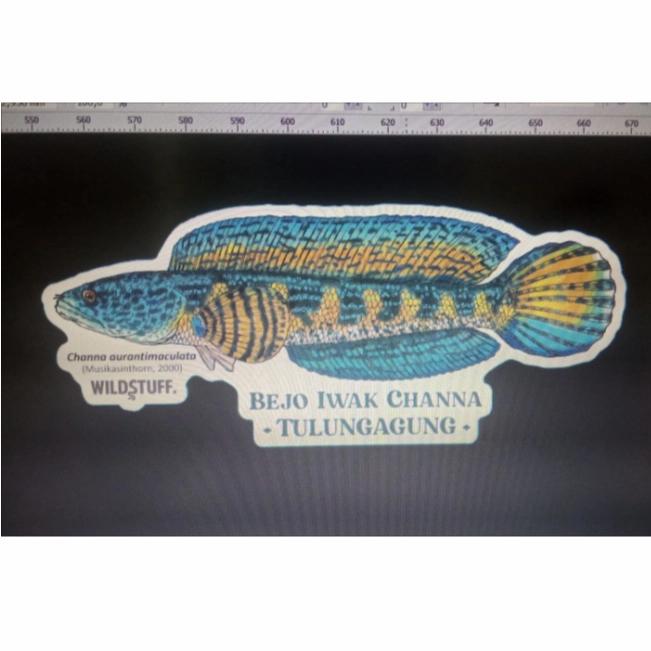 Jual Sticker Wildstuff Custom - Sticker Channa Custom - Kota Bogor ...