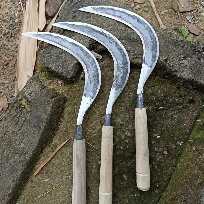 Jual ARIT RUMPUT/SABIT PADI / ARIT SERBAGUNA asli madura ukuran 39 cm ...