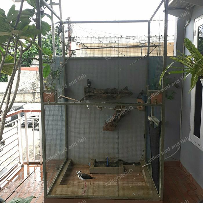 Jual kandang aviary burung - Jakarta Timur - ardan bird and fish ...