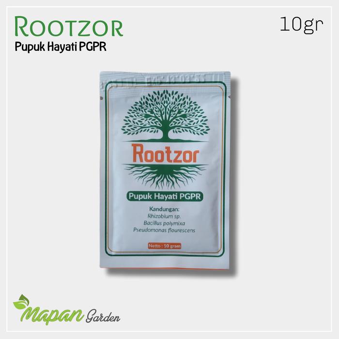 Jual Pupuk Hayati PGPR Rootzor 10 gram Mengandung Rhizobium - Jakarta ...
