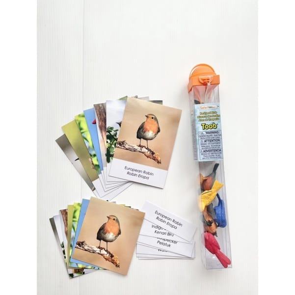 Jual Safari Ltd Toobs Backyard Birds - Kab. Tangerang - GAMEMONTESSORI ...