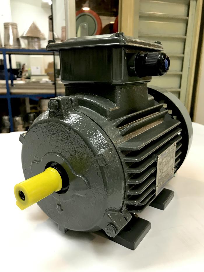 Jual TECO Induction Motor AESV1S (IE1) Foot Mounted 1.1kW-1.5Hp 4 Pole - Jakarta Barat - Aneka ...