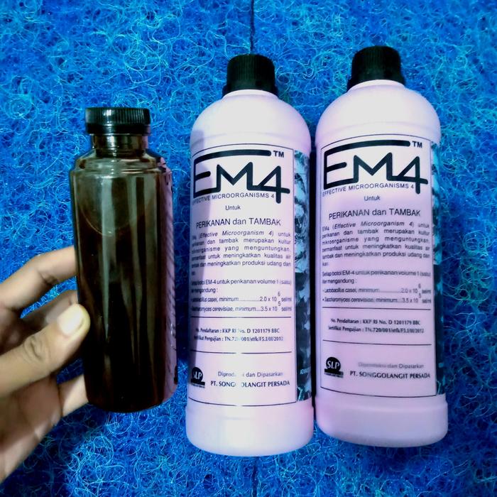 Jual EM4 probiotik bakteri starter kolam koi dan bioflok - Kota ...
