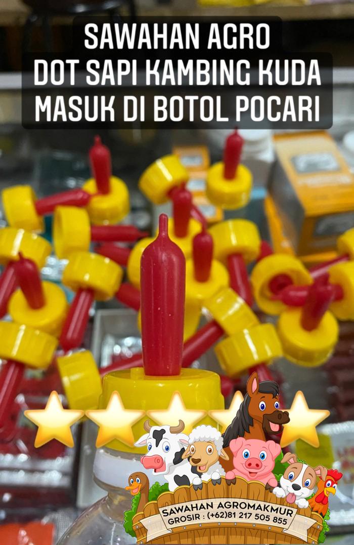 Jual dot sapi pedet kambing domba kuda babi - Kota Malang ...