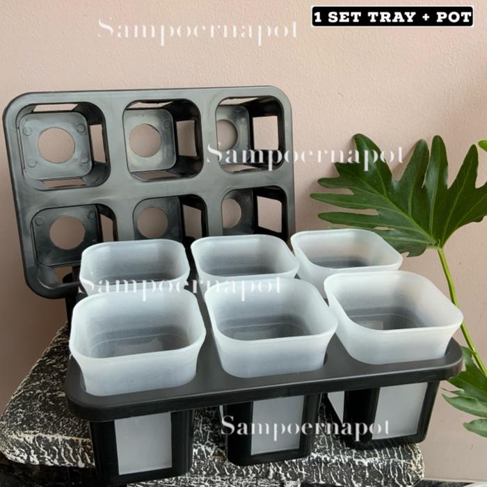 Jual 1 set Tray + POT NKT KOTAK 7 CM BENING TRANSPARAN | tray semai ...